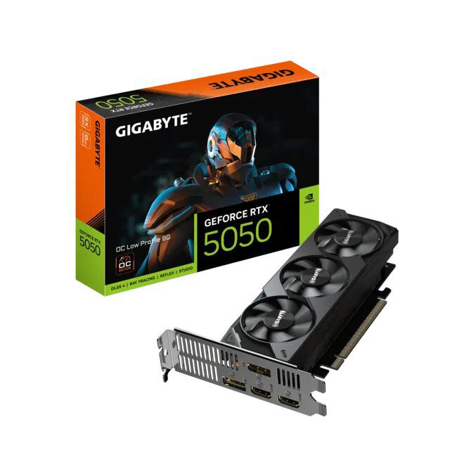 כרטיס מסך Gigabyte GeForce RTX 5050 OC 8GB GDDR6 Low profile GV-N5050OC ...